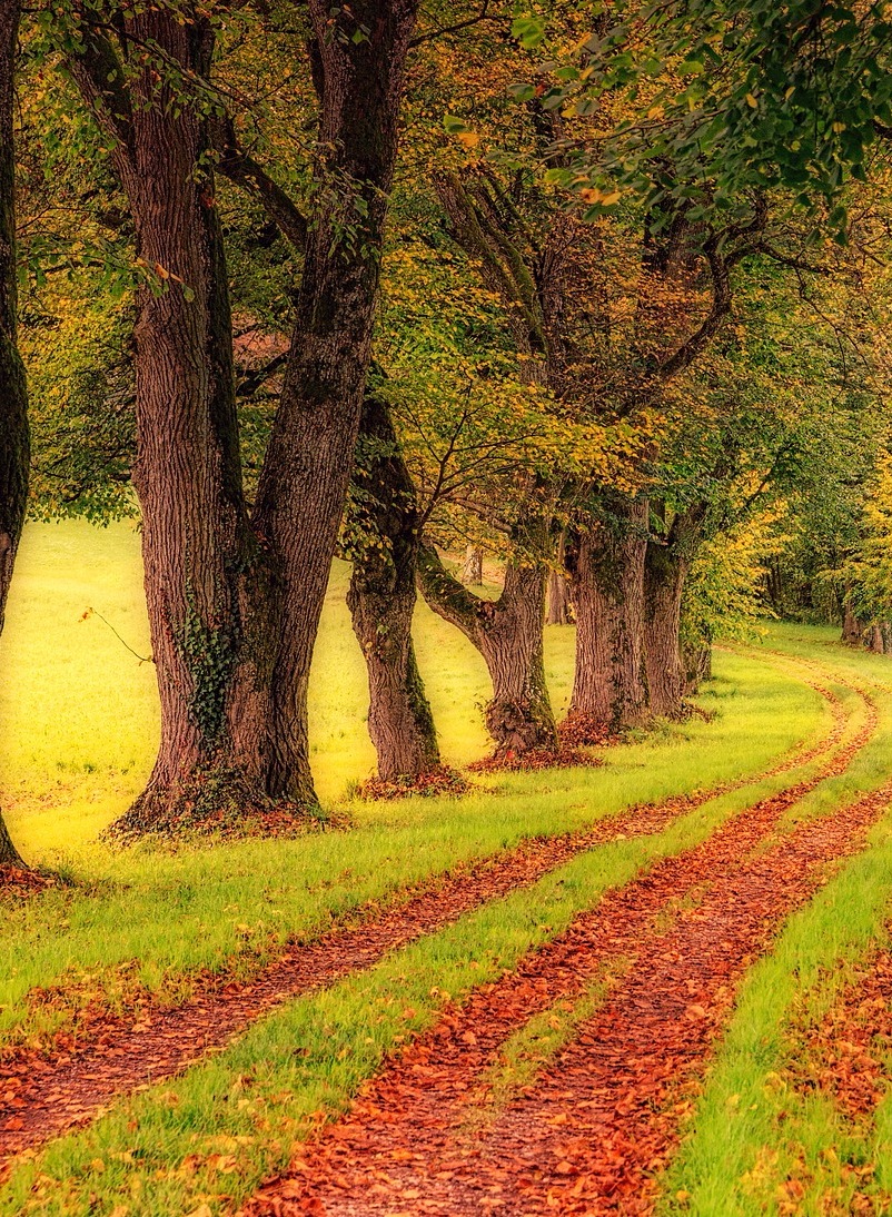 Kenneth John McLarney - May 24, 2023 - Shrine of Remembrance