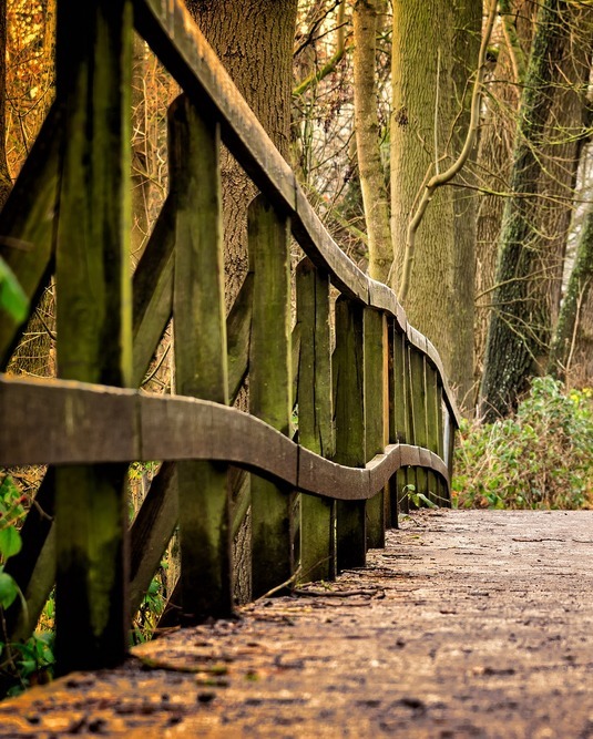 Colonel Robert C. Hess - August 5, 2023 - Shrine of Remembrance