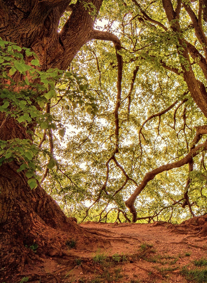 Michael Myron Clark - May 20, 2024 - Shrine of Remembrance