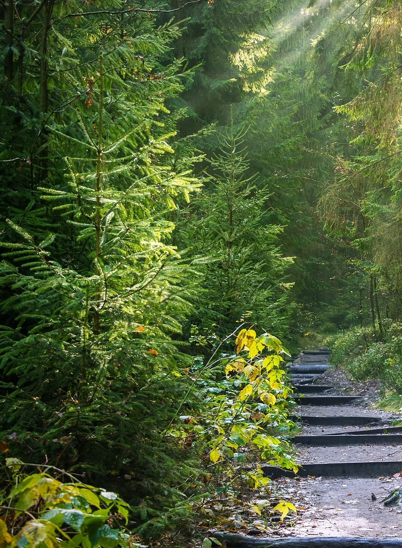 Charles Freund - August 27, 2025 - Shrine of Remembrance